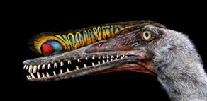 Gitmo Bird | Cryptid Wiki | Fandom