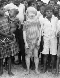 Acurini white Amazonian Indians | Cryptid Wiki | Fandom