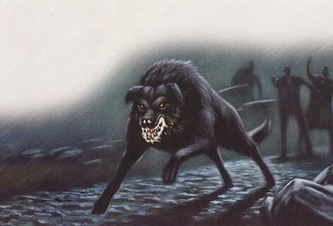 Black Shuck | Cryptid Wiki | Fandom