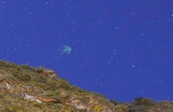 NASA's Jellyfish Anomalies | Cryptid Wiki | Fandom