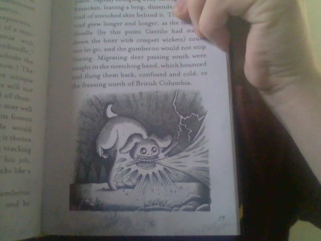 Timberdoodle | Cryptid Wiki | Fandom