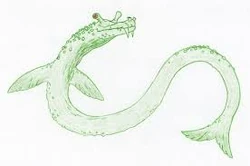 Cape Sable Serpent | Cryptid Wiki | Fandom