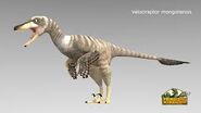Georgia Raptor | Cryptid Wiki | Fandom