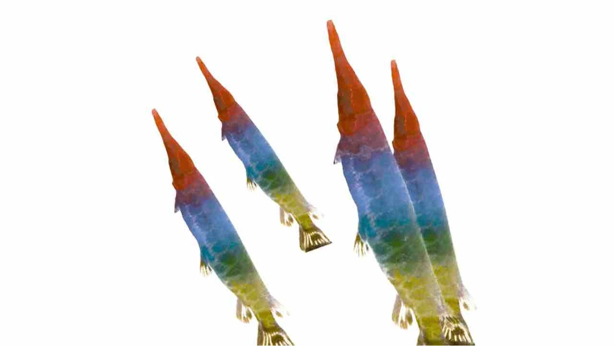 Abyssal Rainbow Gar | Cryptid Wiki | Fandom