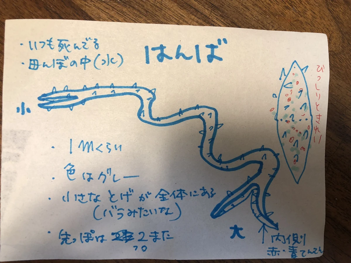 Hanba | Cryptid Wiki | Fandom