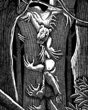 Gumberoo | Cryptid Wiki | Fandom