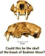 Beast of Bodmin Moor | Cryptid Wiki | Fandom