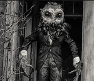 Owlman | Cryptid Wiki | Fandom