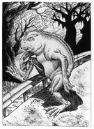 Loveland Frogmen | Cryptid Wiki | Fandom