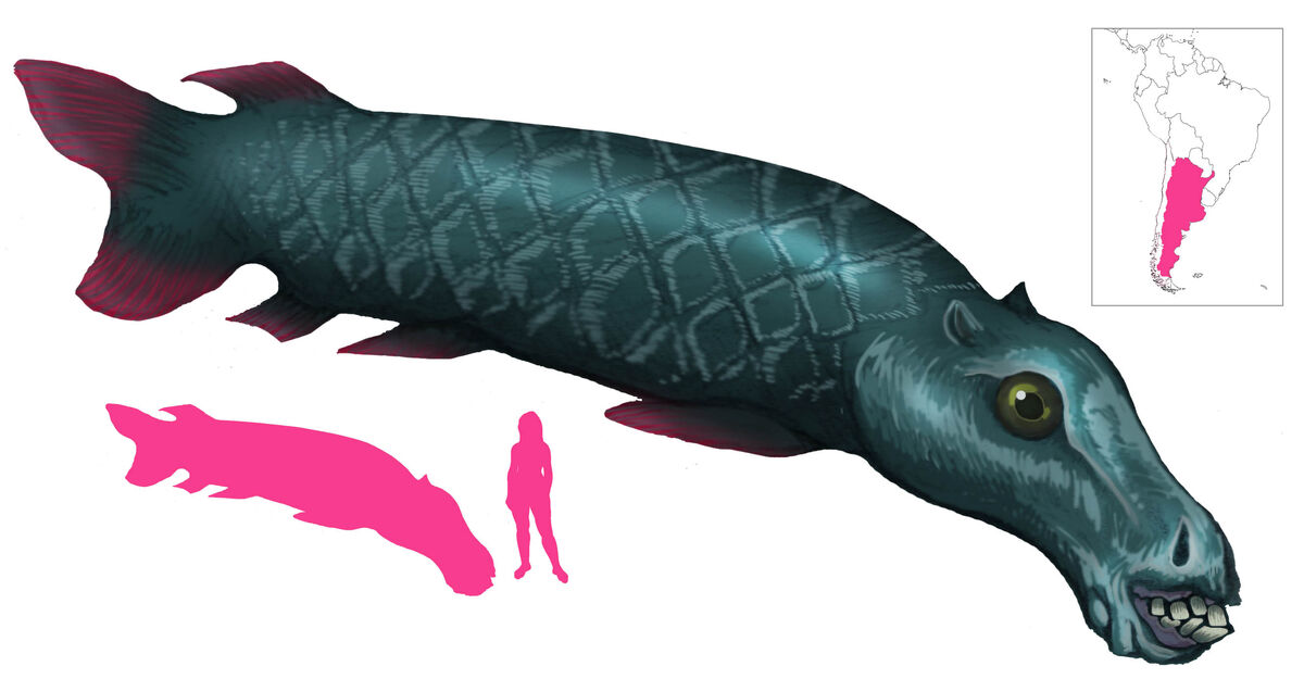 Pira-Nu | Cryptid Wiki | Fandom