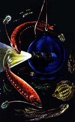 Beebe's Abyssal Fishes | Cryptid Wiki | Fandom