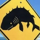 Umokka | Cryptid Wiki | Fandom