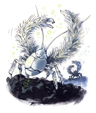 Yeti Crab | Cryptid Wiki | Fandom