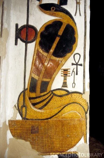 Wadjet | Cryptid Wiki | Fandom