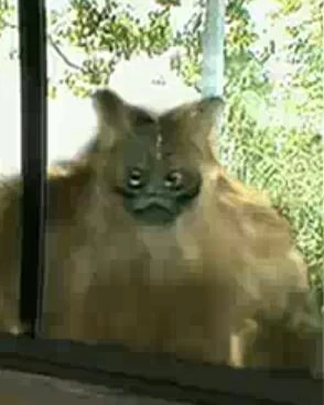 Fiskerton Phantom | Cryptid Wiki | Fandom