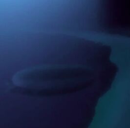 Giant Jellyfish | Cryptid Wiki | Fandom