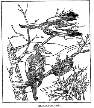 Philamaloo Bird | Cryptid Wiki | Fandom