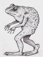 Loveland Frogmen | Cryptid Wiki | Fandom