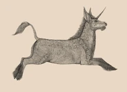 Unicorn | Cryptid Wiki | Fandom