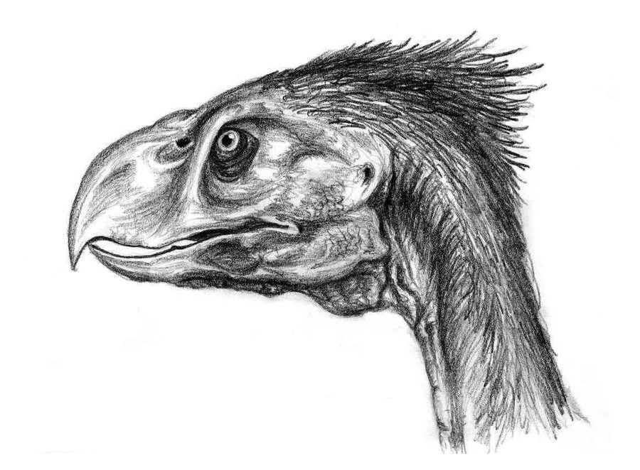 Terror Birds | Cryptid Wiki | Fandom