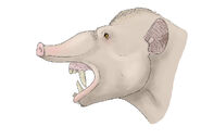 Troll | Cryptid Wiki | Fandom