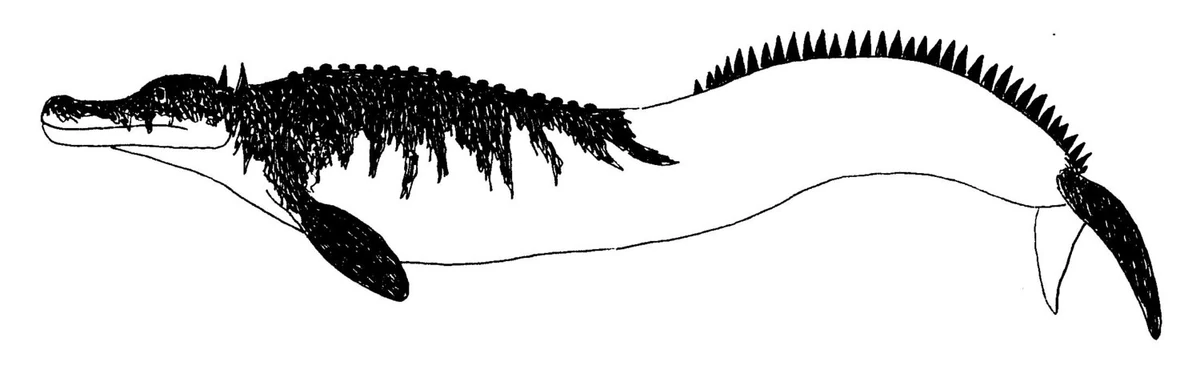 Category:Mosasaurs | Cryptid Wiki | Fandom