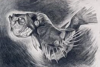 Encantado Weredolphin