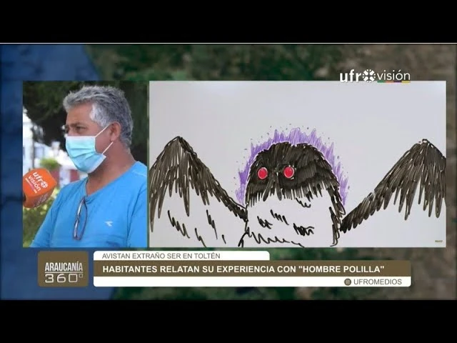 Chilean mothman | Cryptid Wiki | Fandom