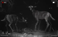 Not Deer | Cryptid Wiki | Fandom