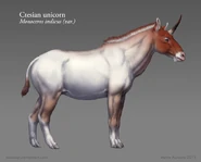 Unicorn | Cryptid Wiki | Fandom