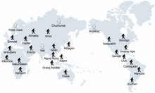 Category:Hairy Humanoids | Cryptid Wiki | Fandom