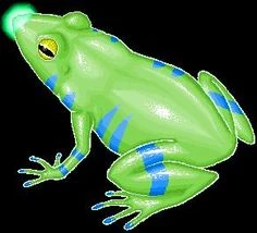 Flashlight Frog | Cryptid Wiki | Fandom