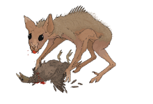 Chupacabra | Cryptid Wiki | Fandom