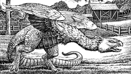 Snallygaster | Cryptid Wiki | Fandom