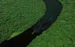 Nabau | Cryptid Wiki | Fandom