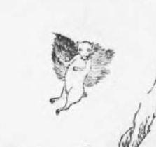 Feishu | Cryptid Wiki | Fandom