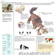 Werewolf | Cryptid Wiki | Fandom