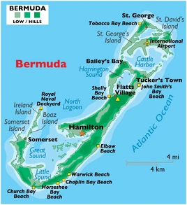 Bermuda Blob | Cryptid Wiki | Fandom