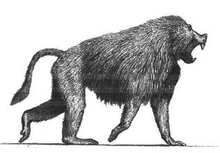 Koddoelo | Cryptid Wiki | Fandom