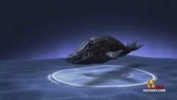 Floridian Marine Reptiles | Cryptid Wiki | Fandom
