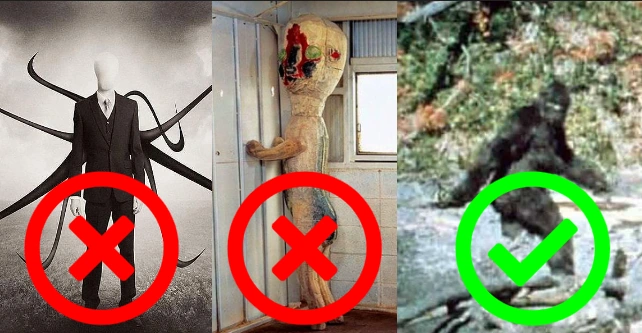 Cryptid Wiki:Creepypasta policy | Cryptid Wiki | Fandom