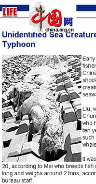 Ningbo | Cryptid Wiki | Fandom