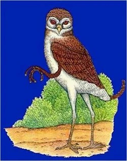 Chickcharney | Cryptid Wiki | Fandom