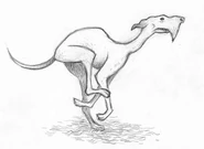 Axehandle Hound | Cryptid Wiki | Fandom