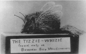 Tizzie-Whizie | Cryptid Wiki | Fandom