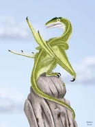 Wyvern | Cryptid Wiki | Fandom
