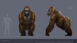 Taille Du Cerveau Du Gigantopithecus Blacki New Fossil Evidence And