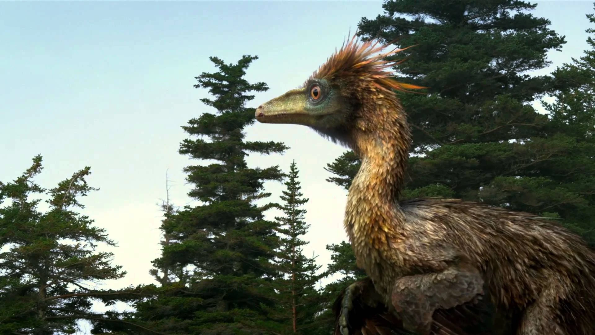 Georgia Raptor | Cryptid Wiki | Fandom