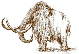 Woolly Mammoth | Cryptid Wiki | Fandom