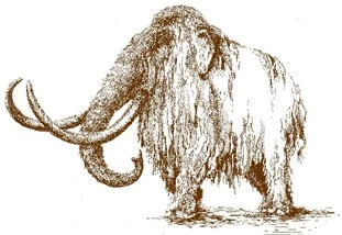 Woolly Mammoth | Cryptid Wiki | Fandom